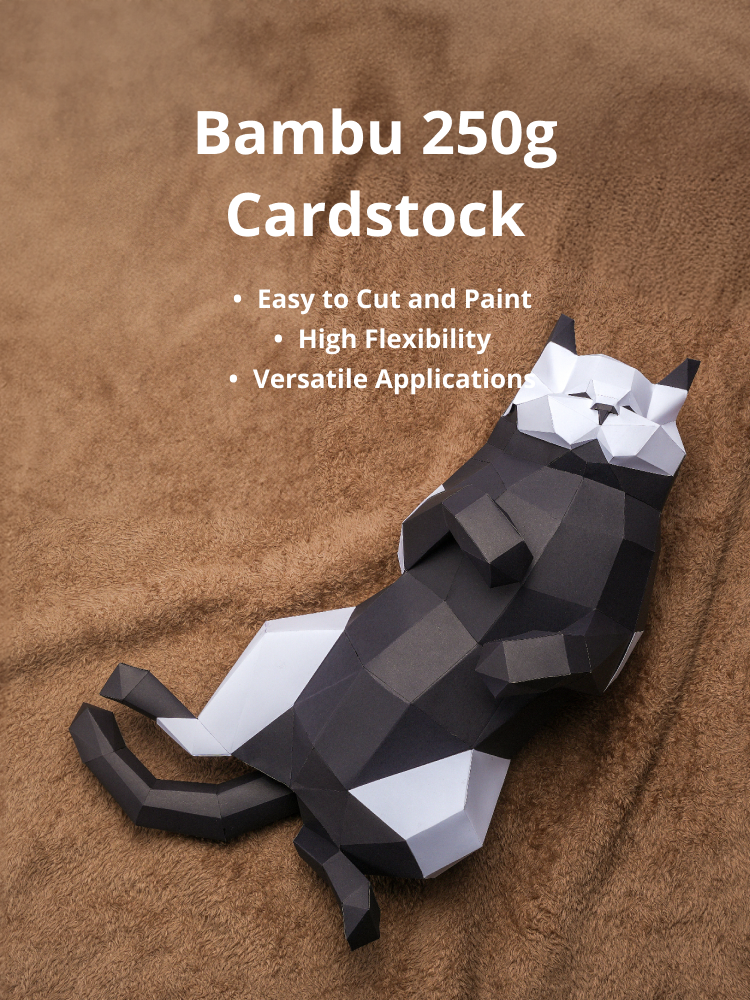 250g Cardstock (25pcs) | Bambu Lab US Store