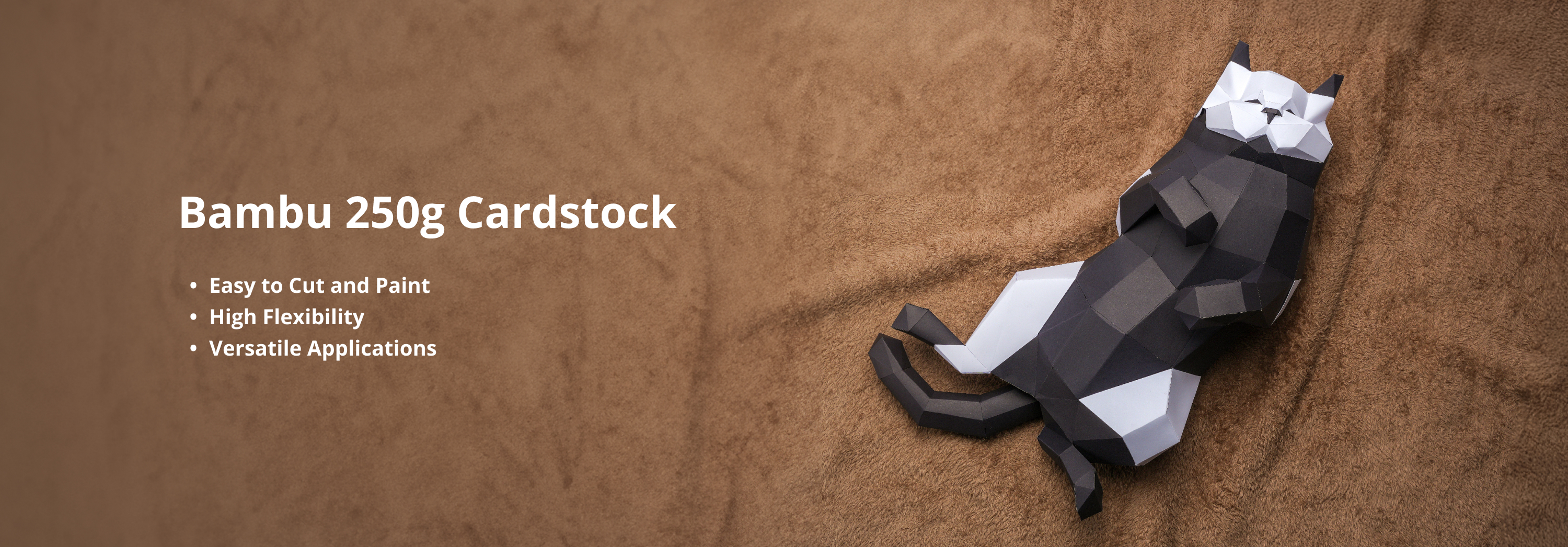 250g Cardstock (25pcs) | Bambu Lab US Store